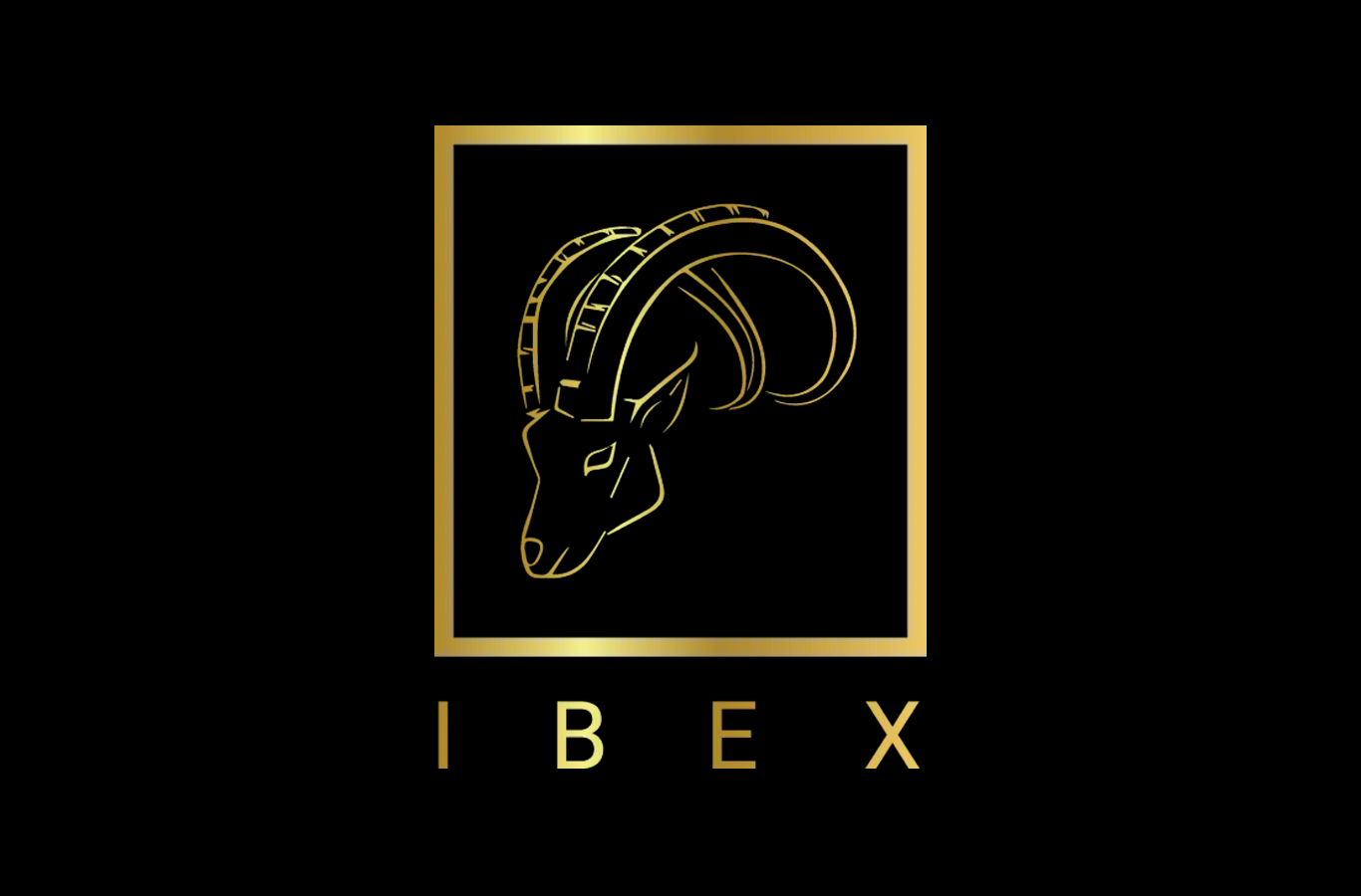 Home - Ibex Ai Tech